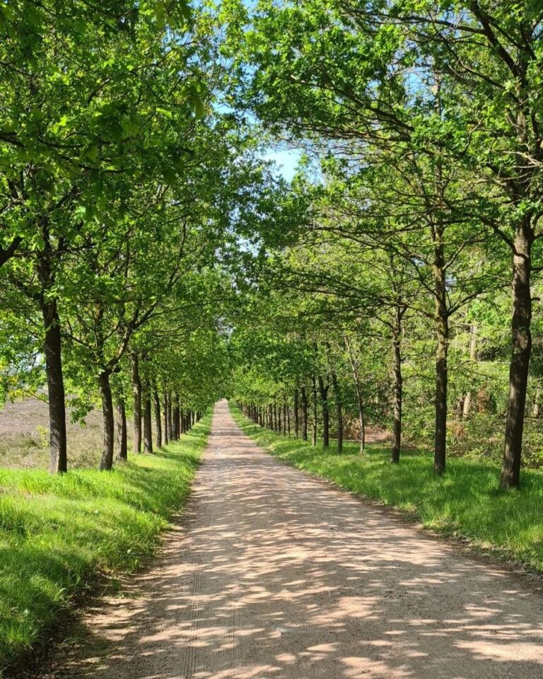 Best National Parks In The Netherlands - The Netherlands