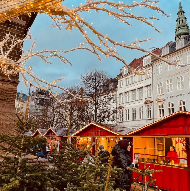 Guide To 10 Best Christmas Markets In & Around Rotterdam