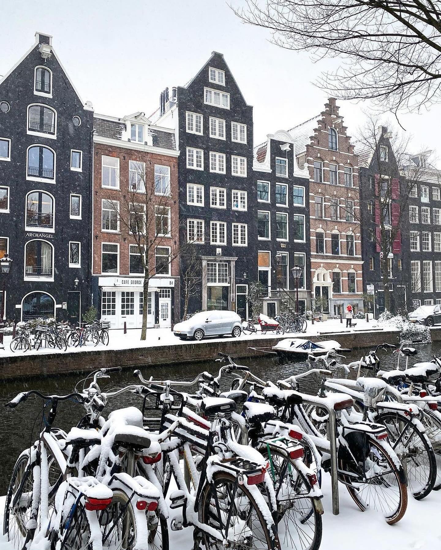 Does It Snow in the Netherlands? A Guide for Travelers and Expats